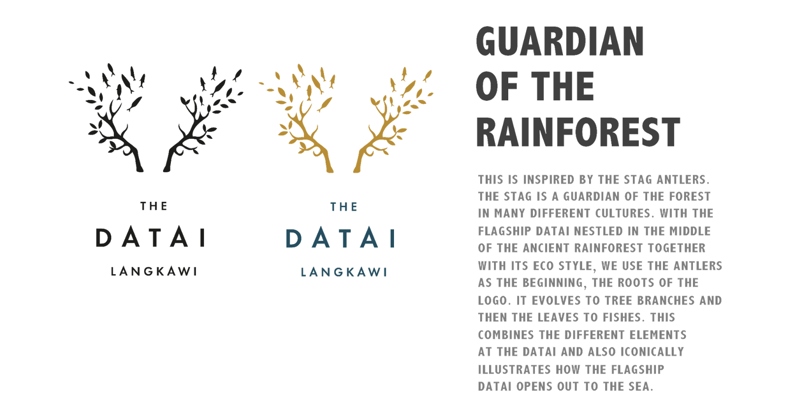 THE DATAI PITCH : THE ELEMENTS | test