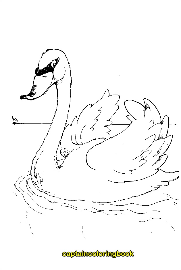 Coloring book pdf download