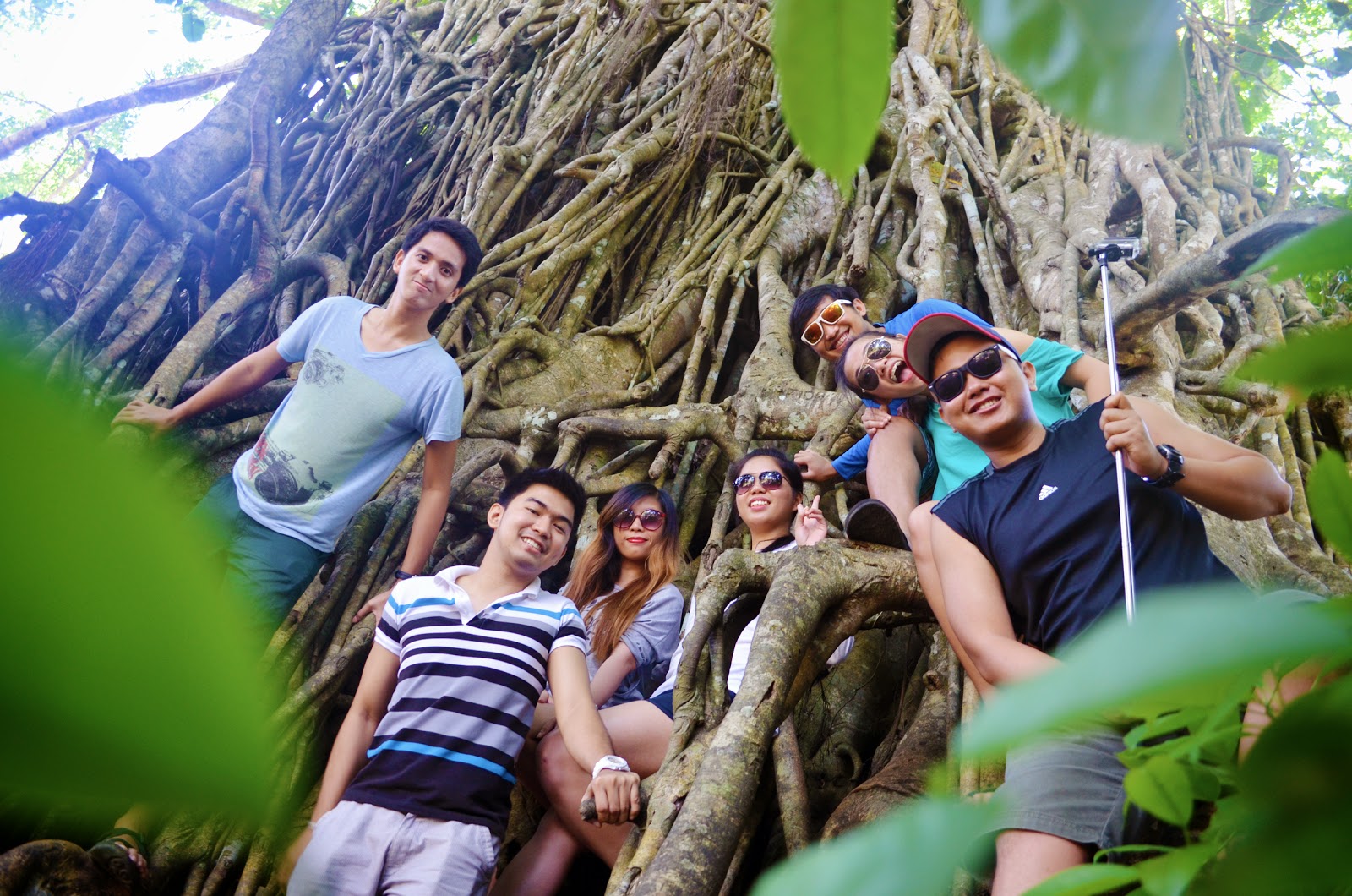 H E L L O ♥ K I M M Y : Millennium Tree - Old Balete Tree Of Aurora