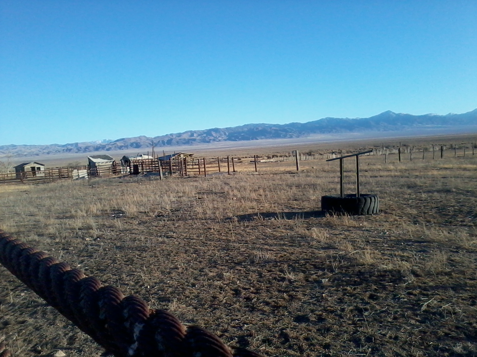 Catladydi: Dixie Valley, Nevada