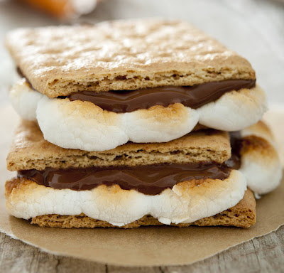 Valley Day Camp: Make S'mores and/or Wacky S'mores