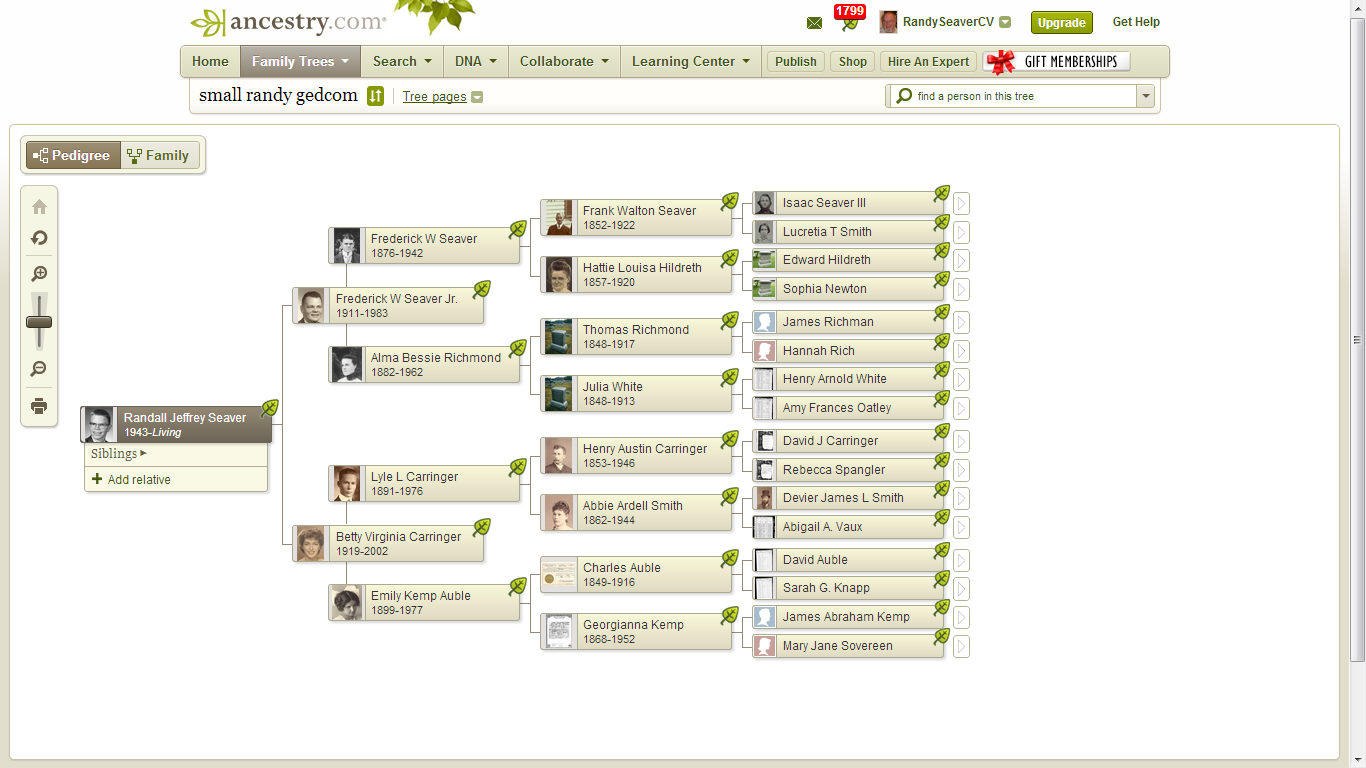 Genea-Musings: Ancestry Member Tree Hints and Images