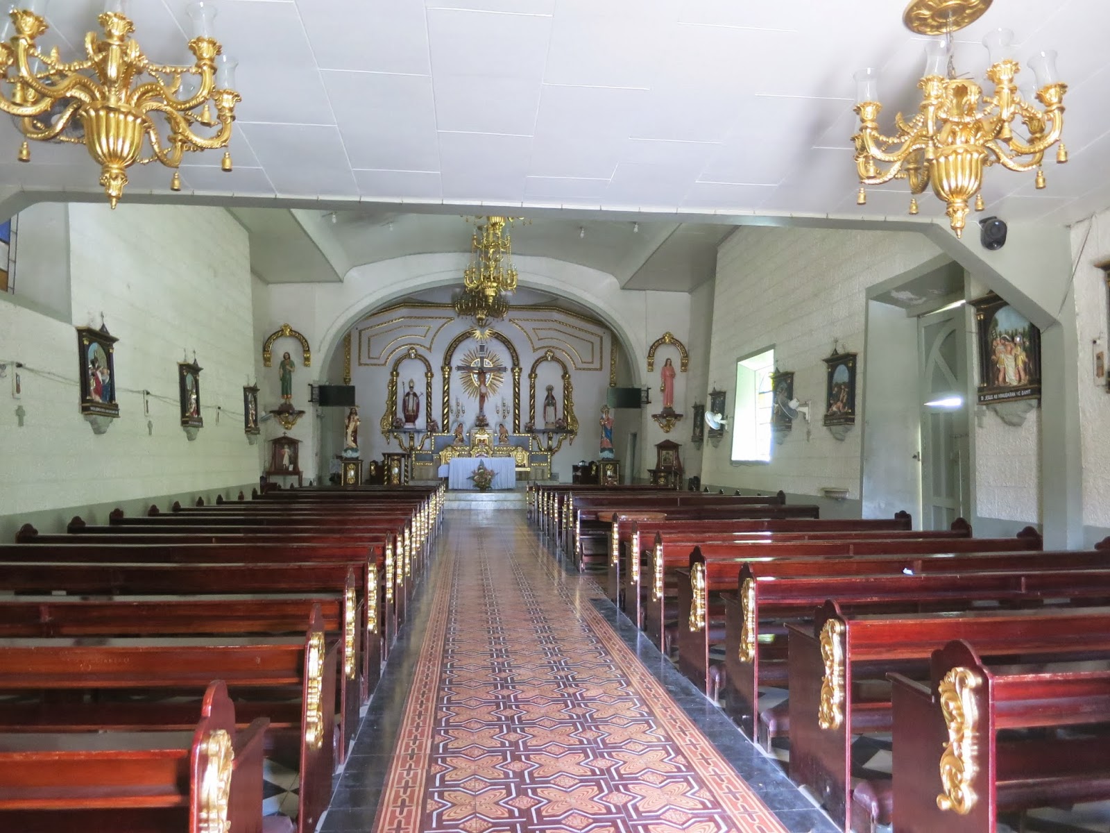 Splash of Yellow: What to see in Baler