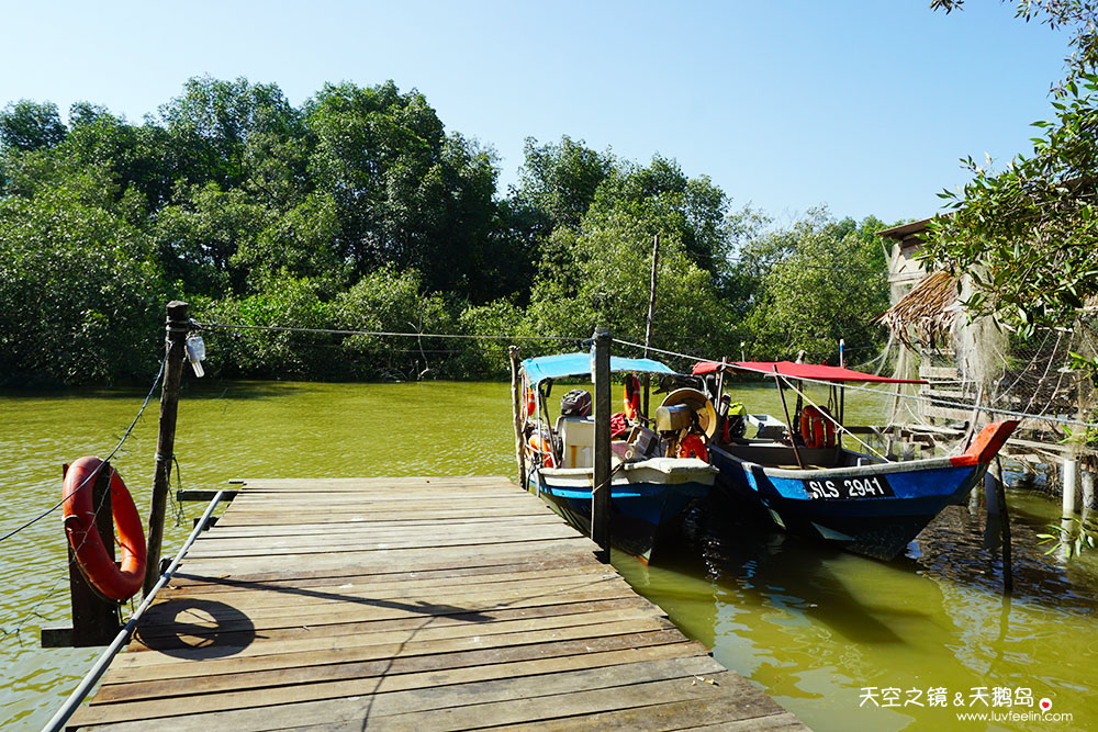 Mirror In The Sky 马来西亚天空之镜＋Pulau Angsa 天鹅岛生蠔宴一日游 - 乐飞翎 ♥ LUVFEELIN