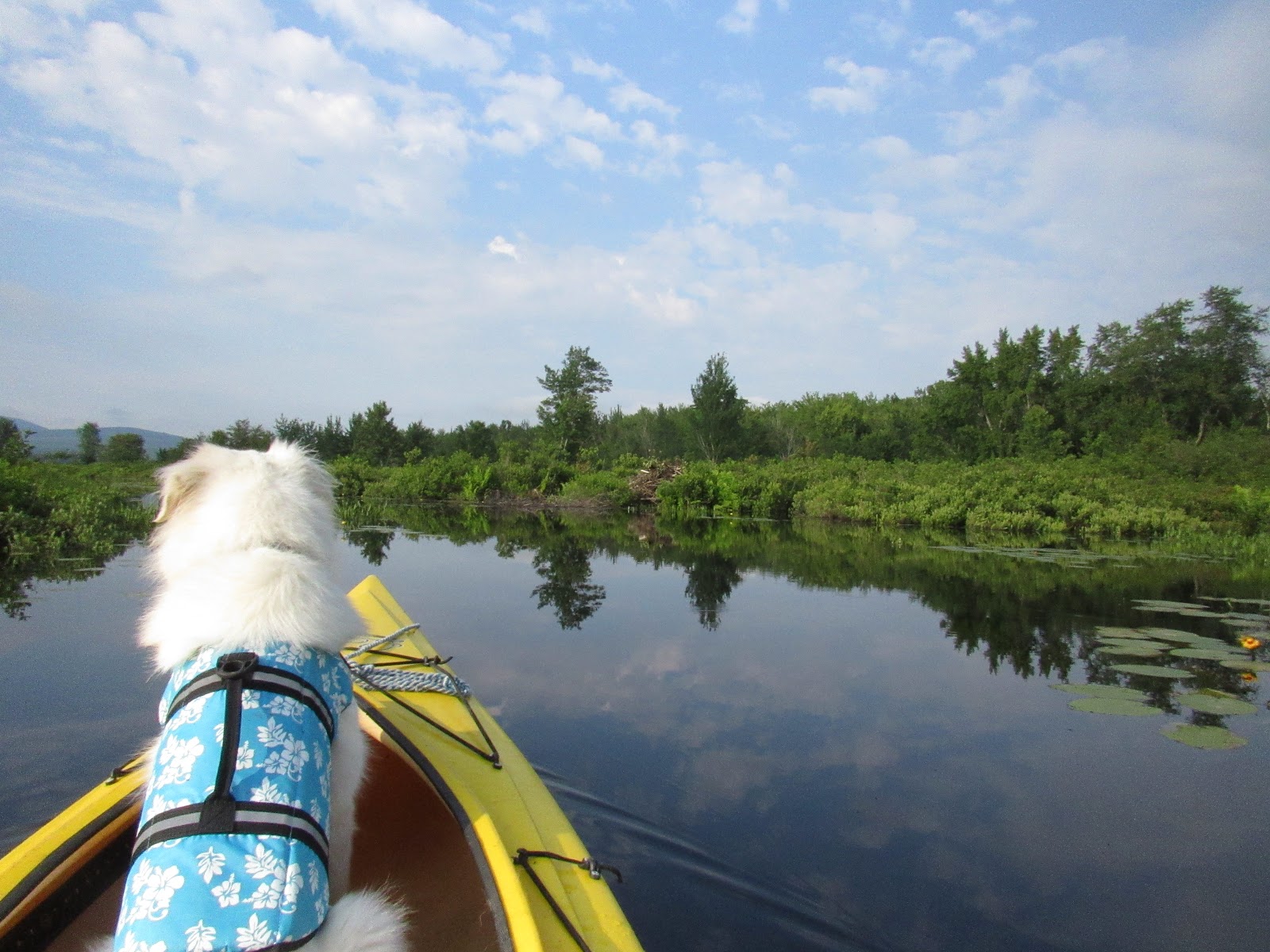 Recreational Kayaking in Maine: Saponac Pond, Burlington, Maine [Maine ...