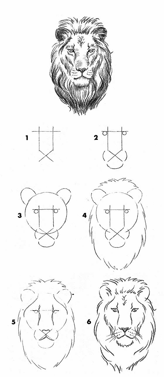Creative Concepts: Drawing Animals Using Basic Shape Construction