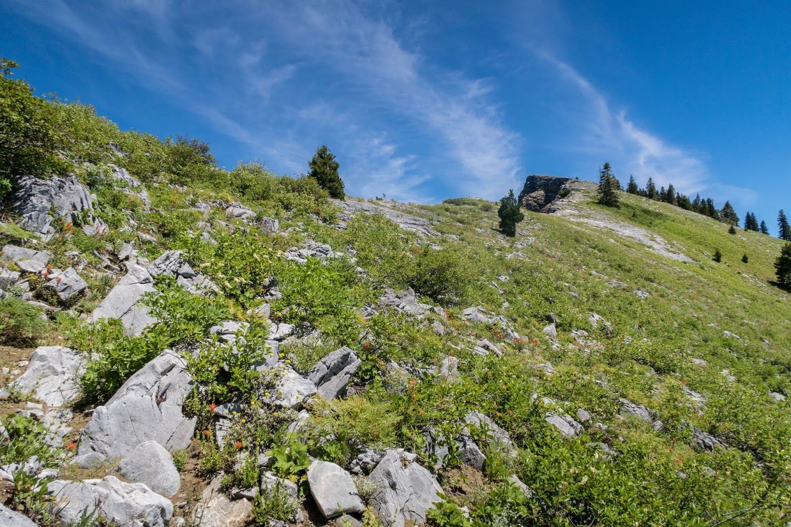Eric's Hikes: Marble Mountains: Sky High Lakes, Marble Rim, Pacific ...