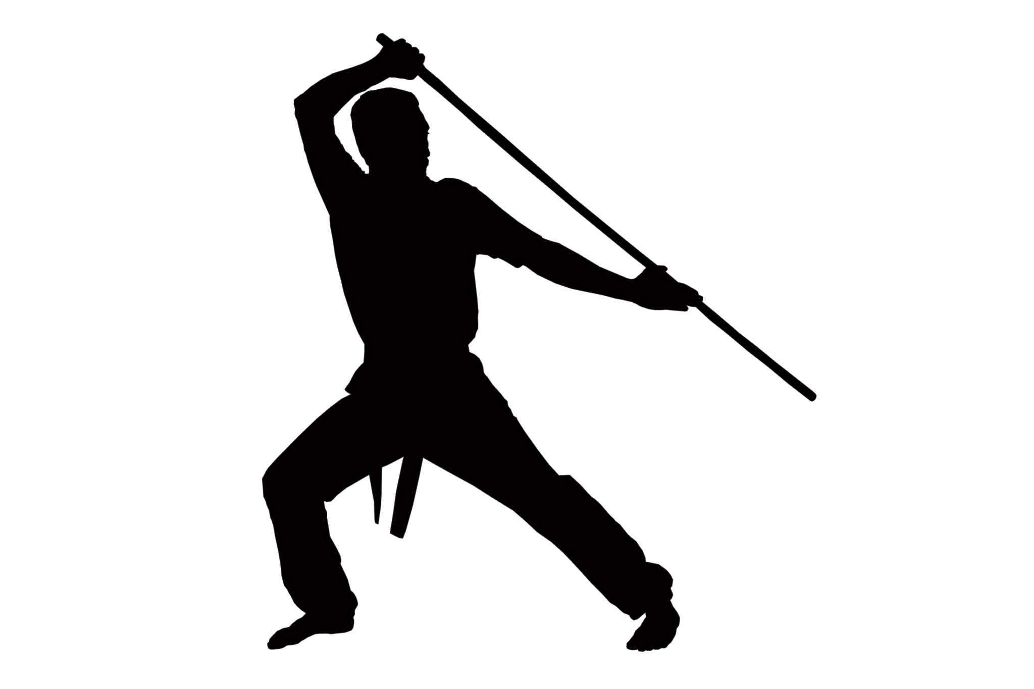 Panchabootha International Martial Arts Academy: Silambam Clipart , vector