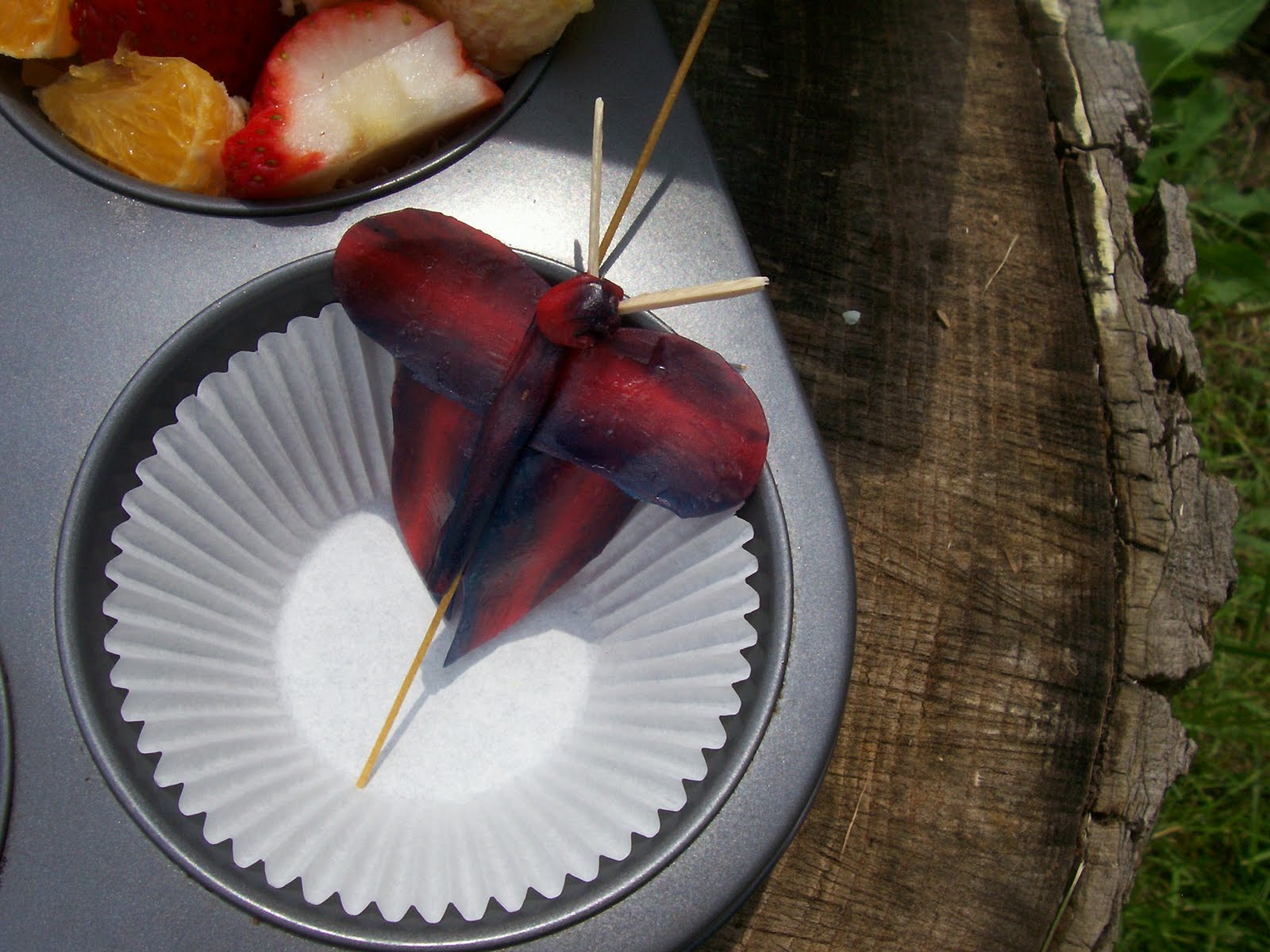 Pauley-Face Farm: Caterpillar Lapbook