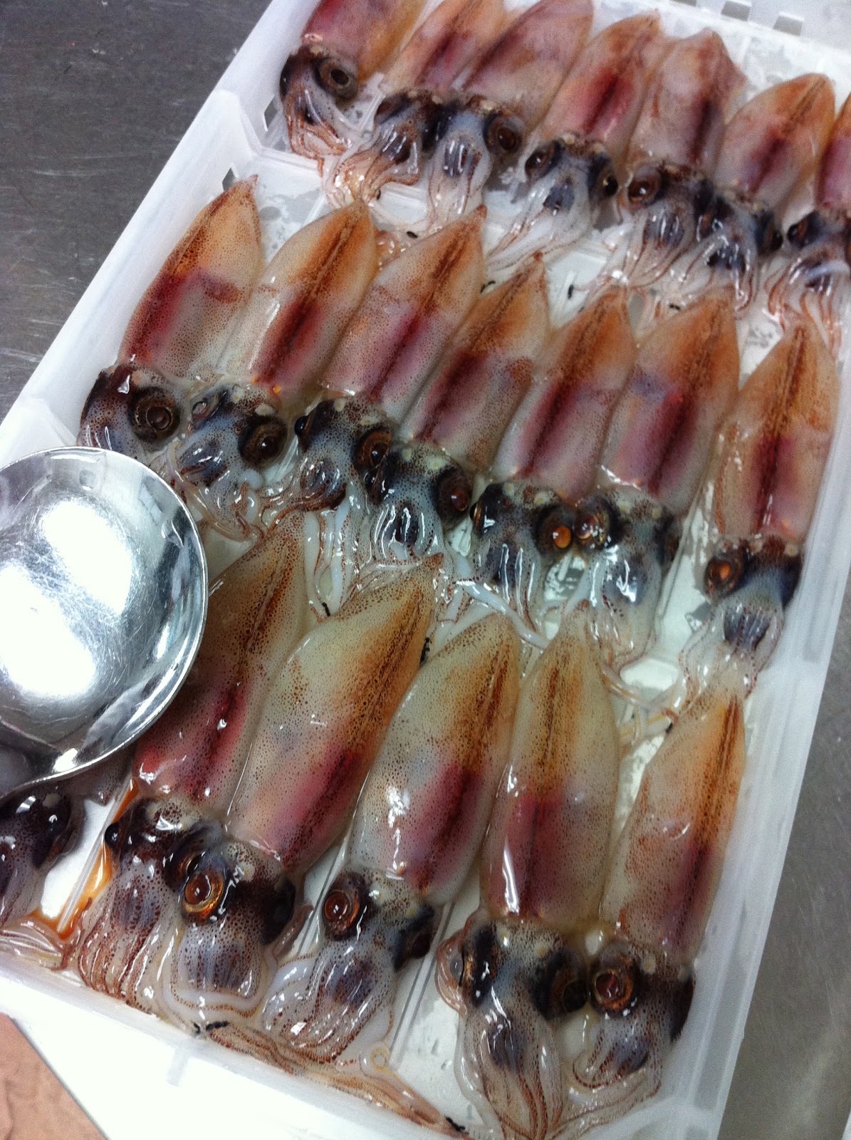 Hotaru Ika (Firefly squid)