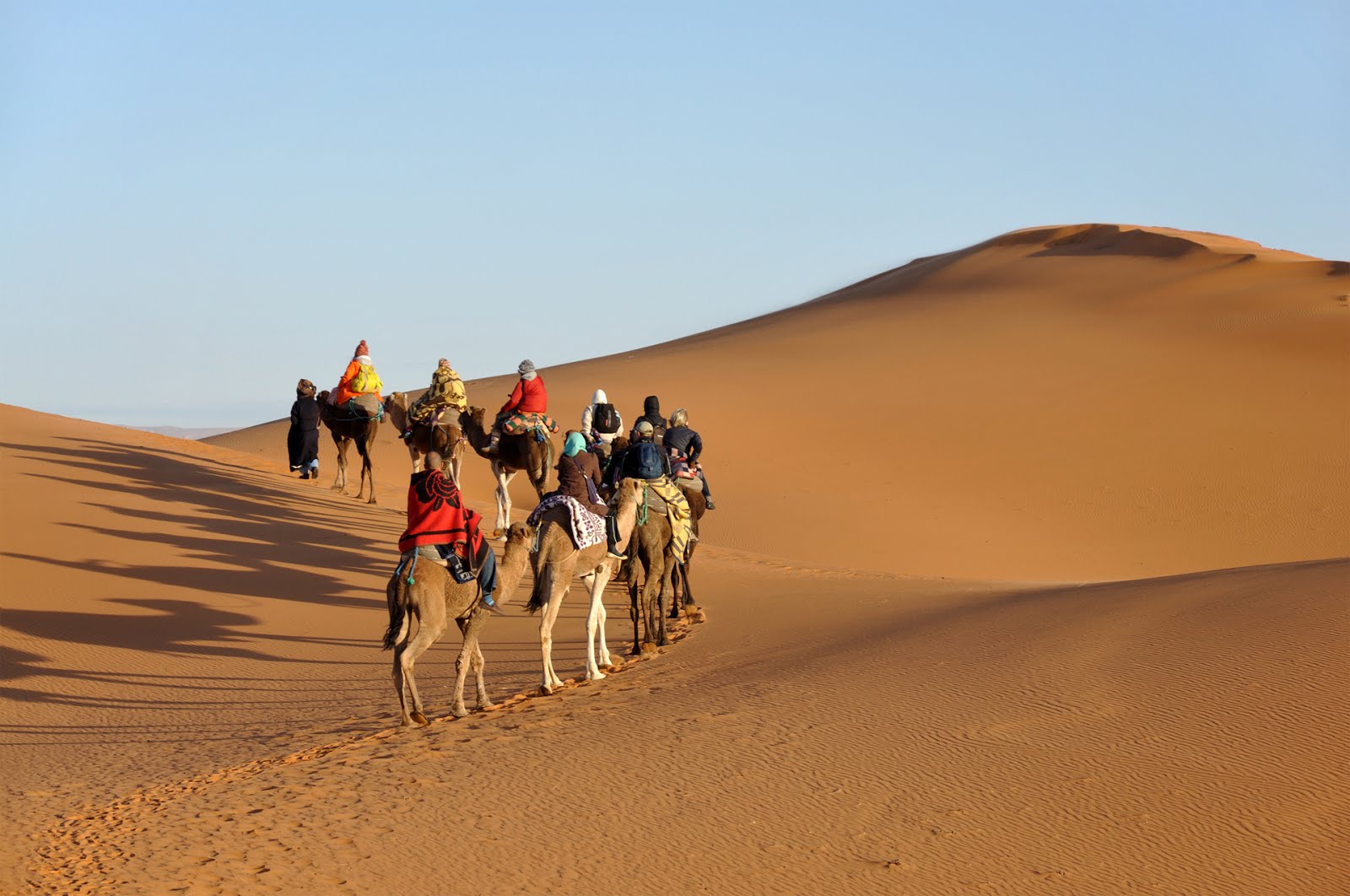 BANCO DE IMÁGENES: Viaje en camellos por el desierto del Sahara