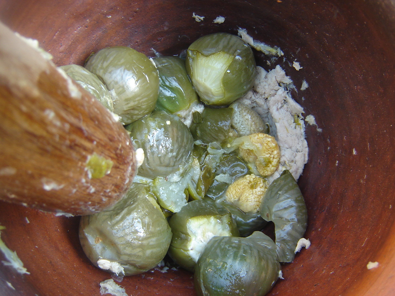 professor fish heads: on the subject of the Blue Runner, a humble and ...