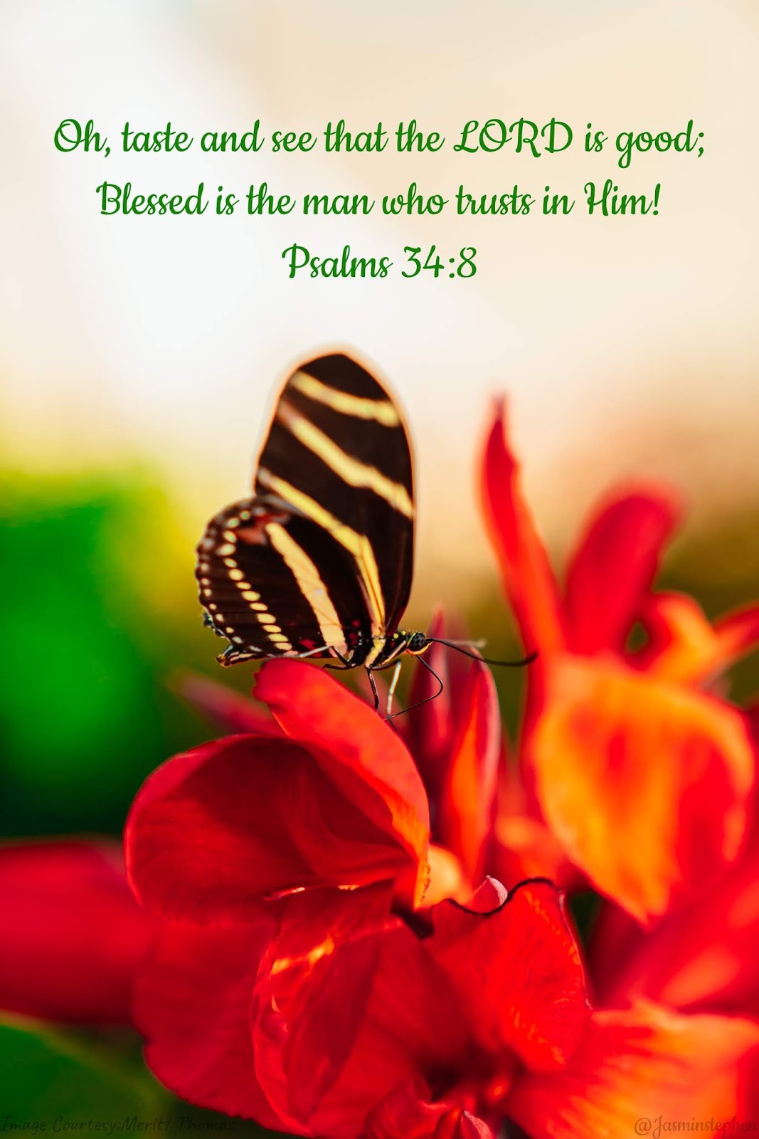 psalms-34-8