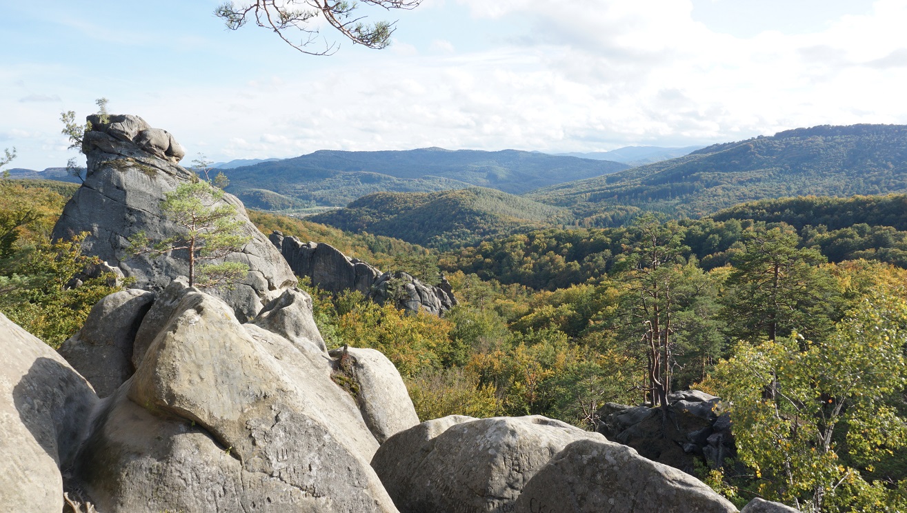 Kelionių pasaulyje: Lvovas-Karpatai 2019