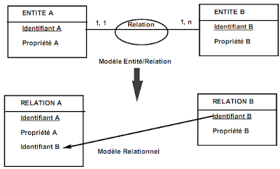 passage du modèle Entité/Relation au modèle relationnel (MLD ...