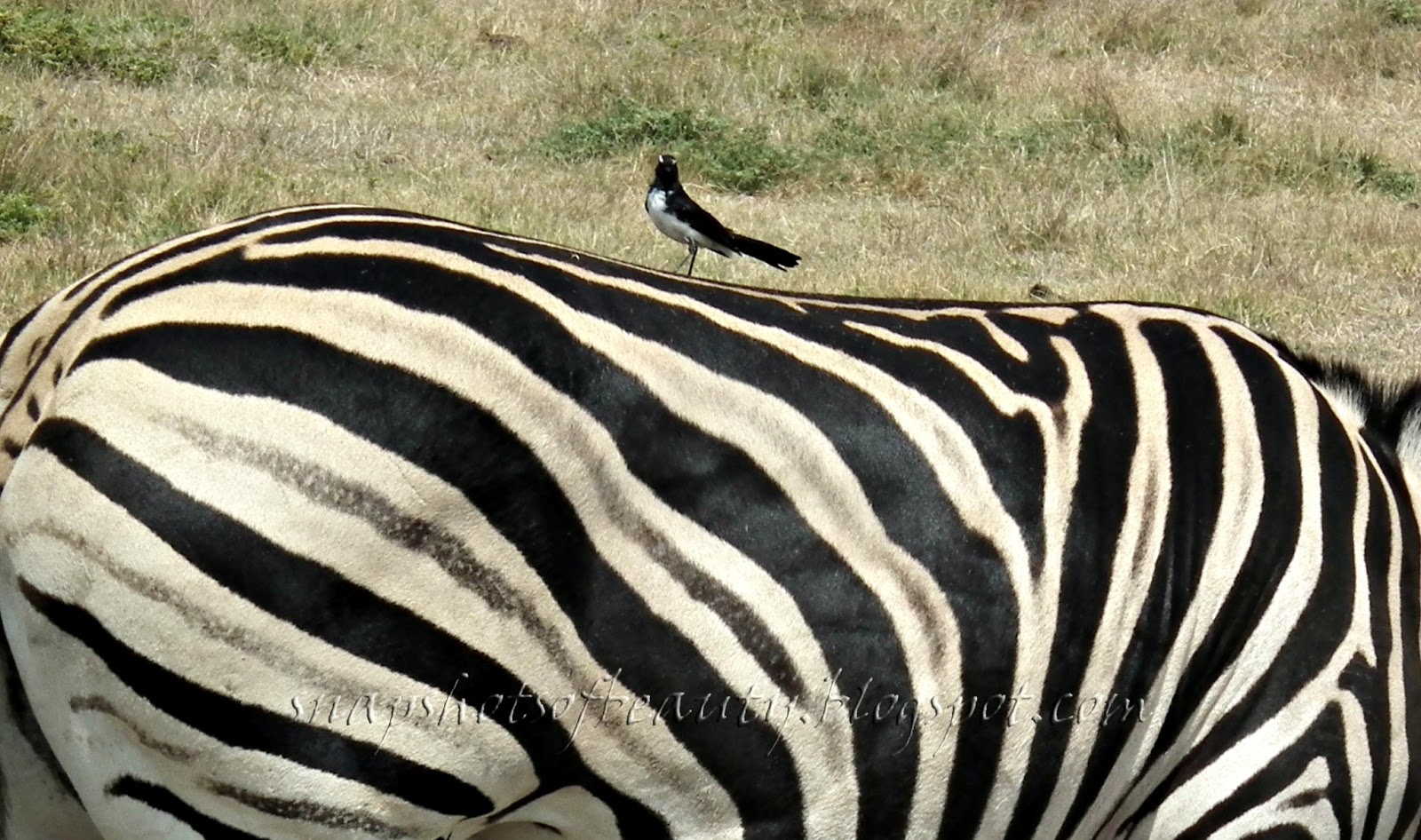 The Travelling Sisterhood....: 03/26/13