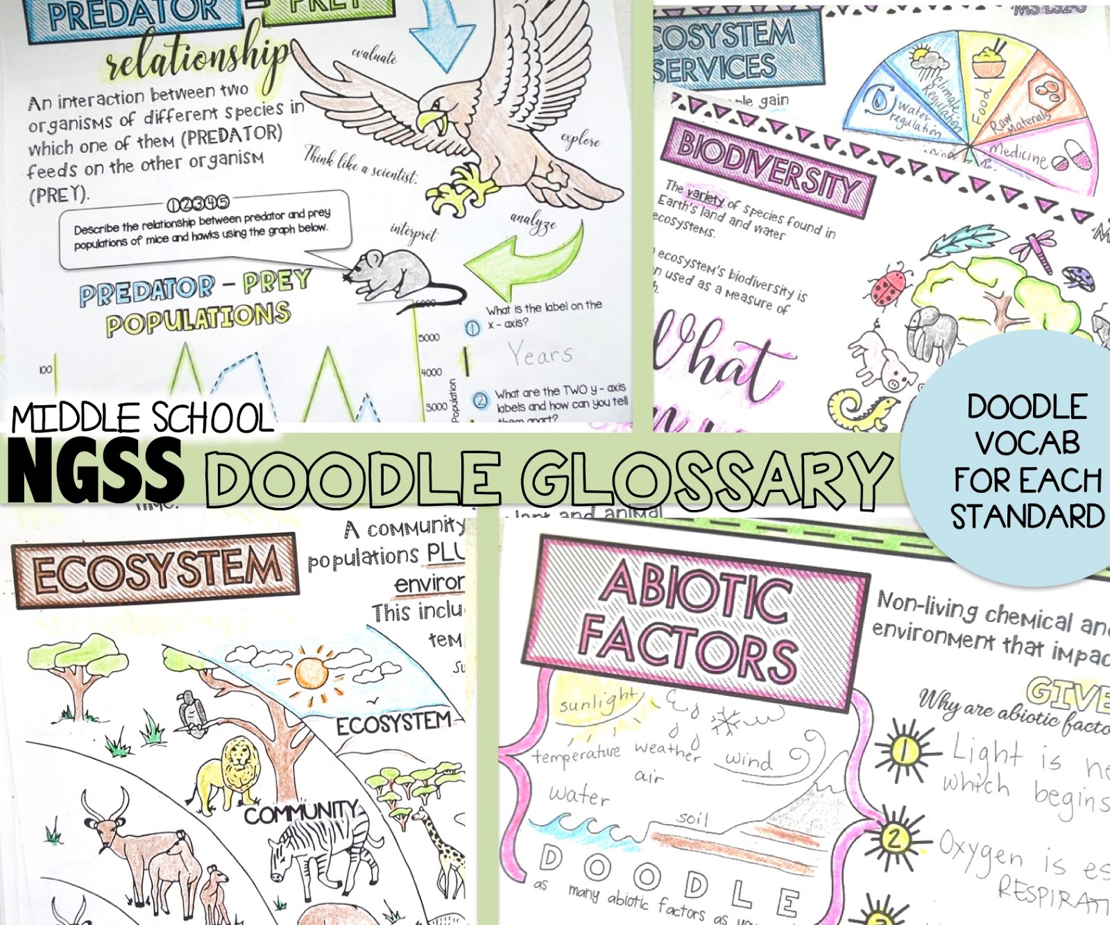NGSS Doodle Note Glossary for Middle School - Captivate Science