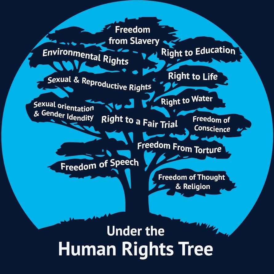 Under The Human Rights Tree: The Legacy of Impunity in Guinea!
