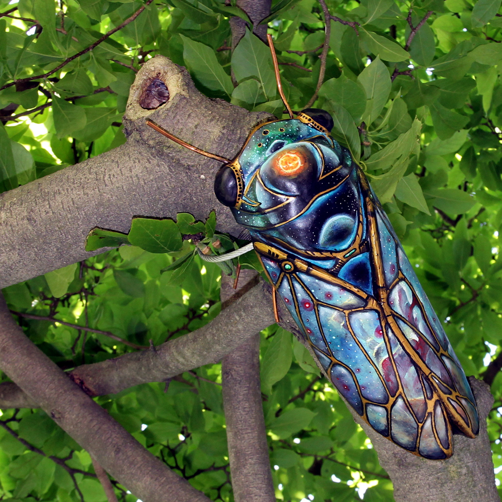 snapshots abroad: Cicada Parade-a
