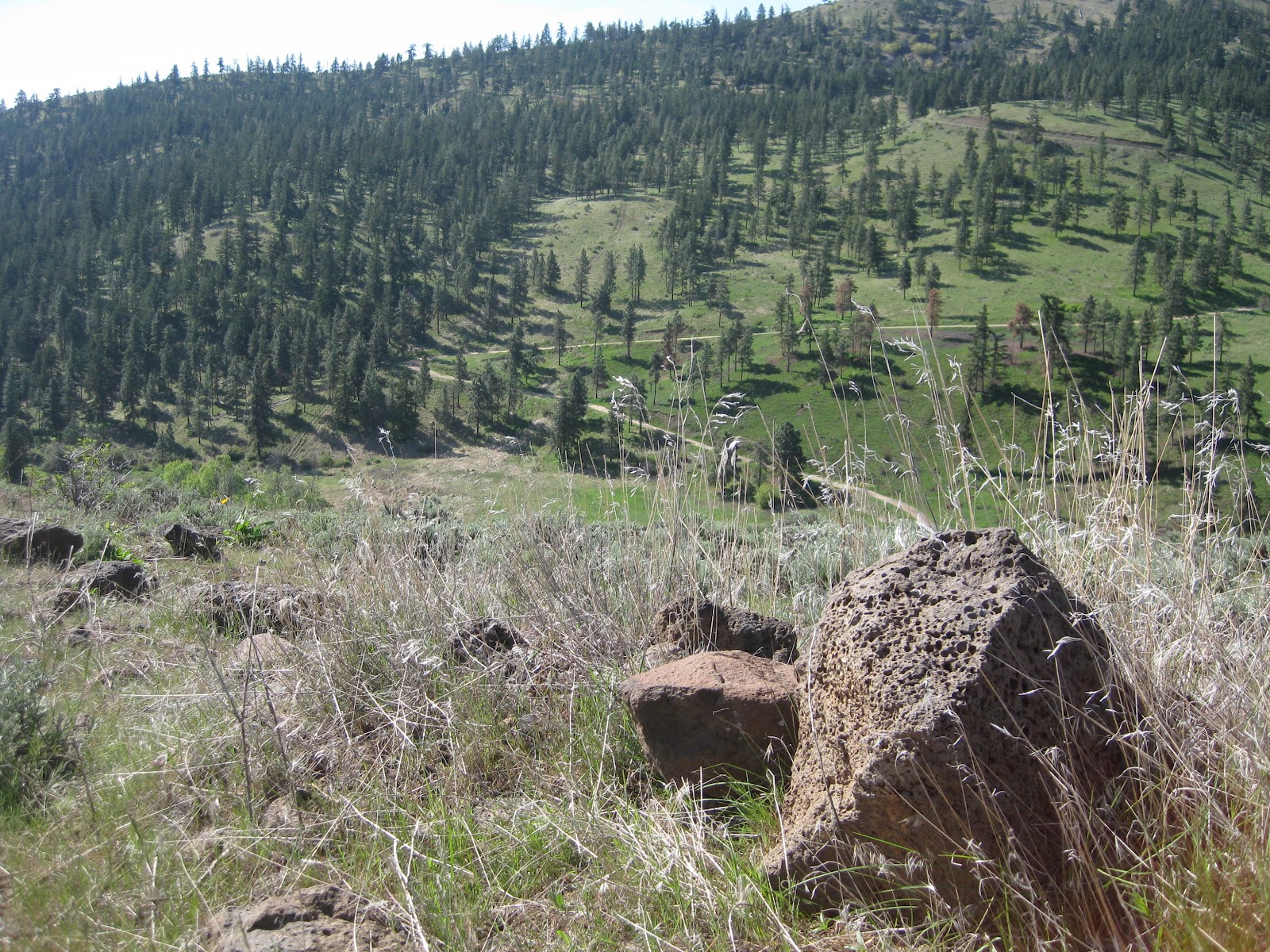 Central Washington Green Dot Trails - Recreation: L.T. Murray Wildlife Area