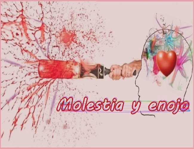Molestia y enojo