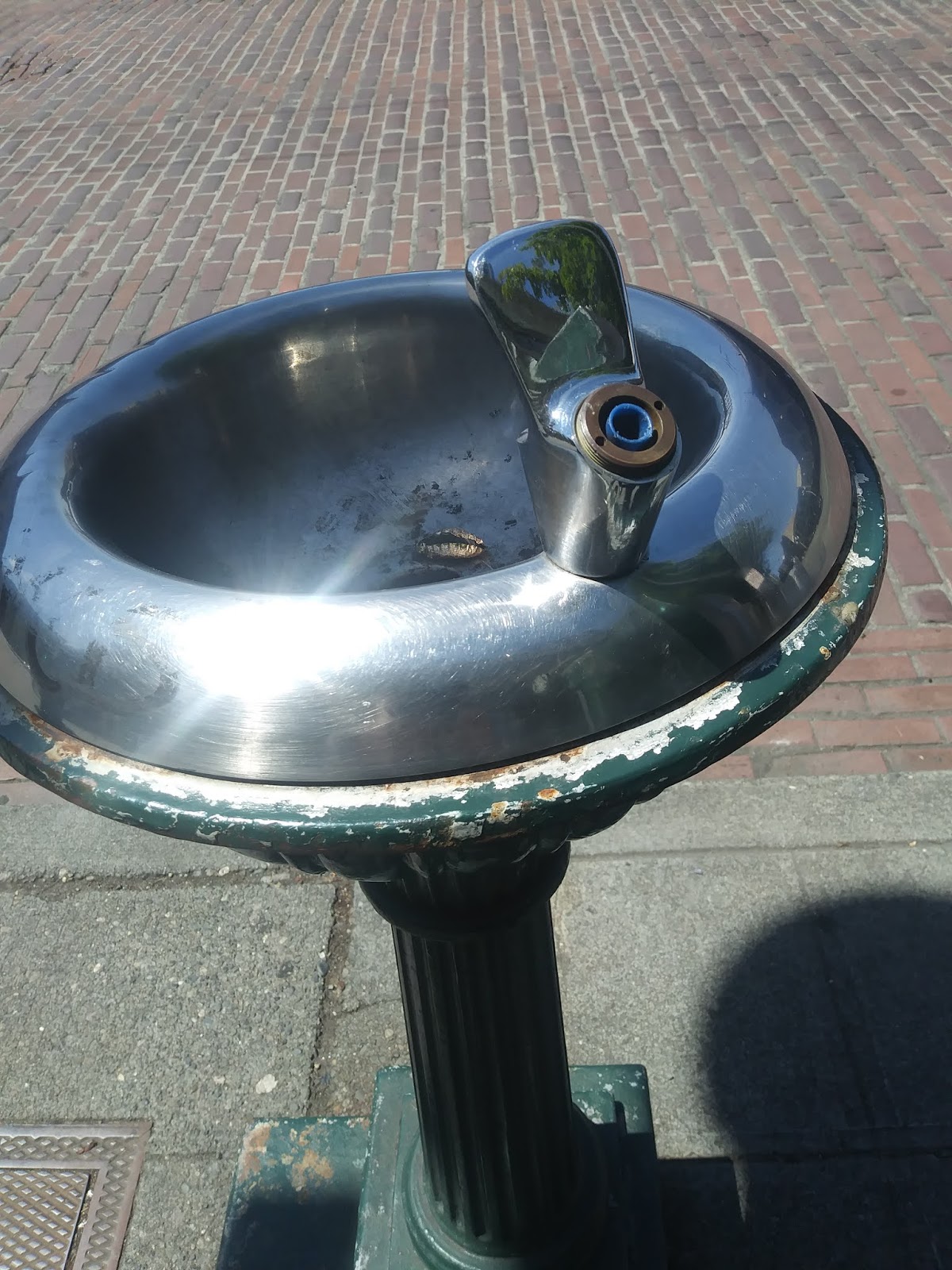 My Seattle Parks Diary: Ways to Fight Water Addiction