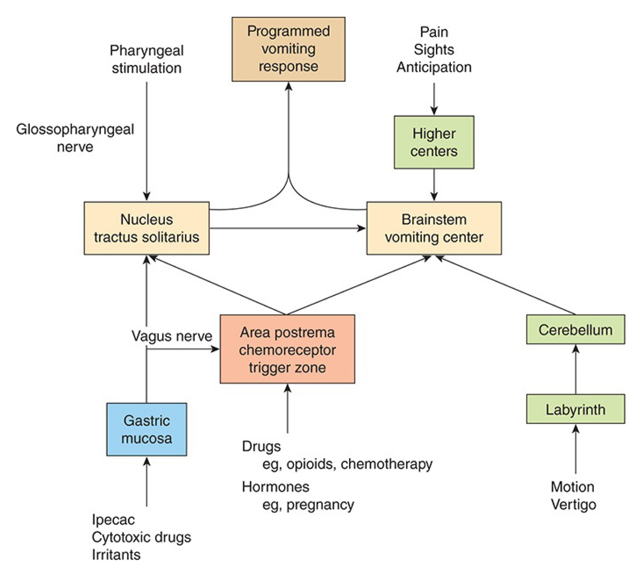Medical Terms & Сlinical Сases : March 2021
