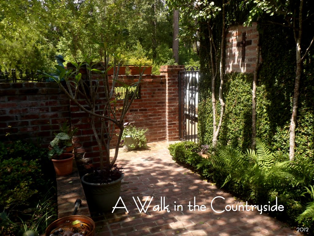 A Walk in the Countryside: Courtyard Oasis