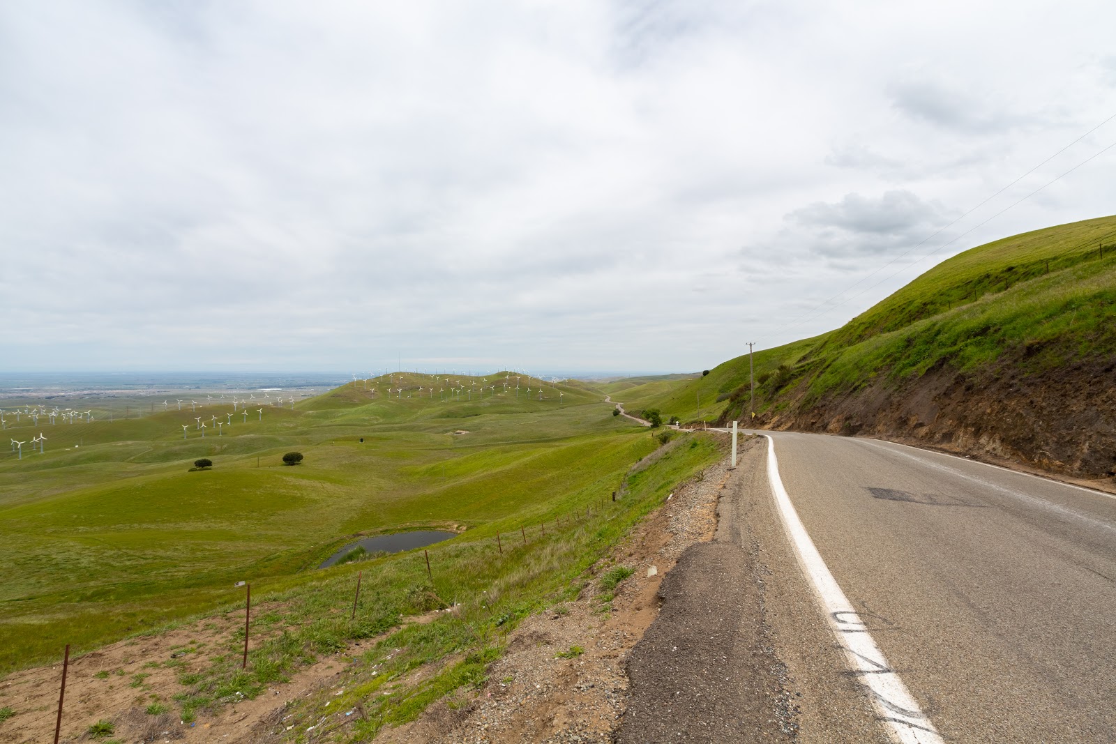 Naturetastic Blog: Patterson Pass Road - Livermore, CA (April 18th, 2018)