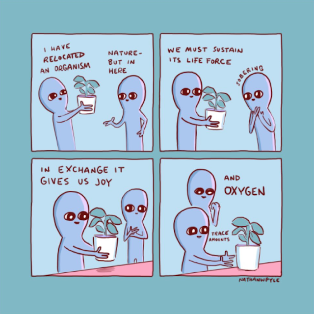 Oh, by the way...: "Strange Planet" by Nathan W. Pyle