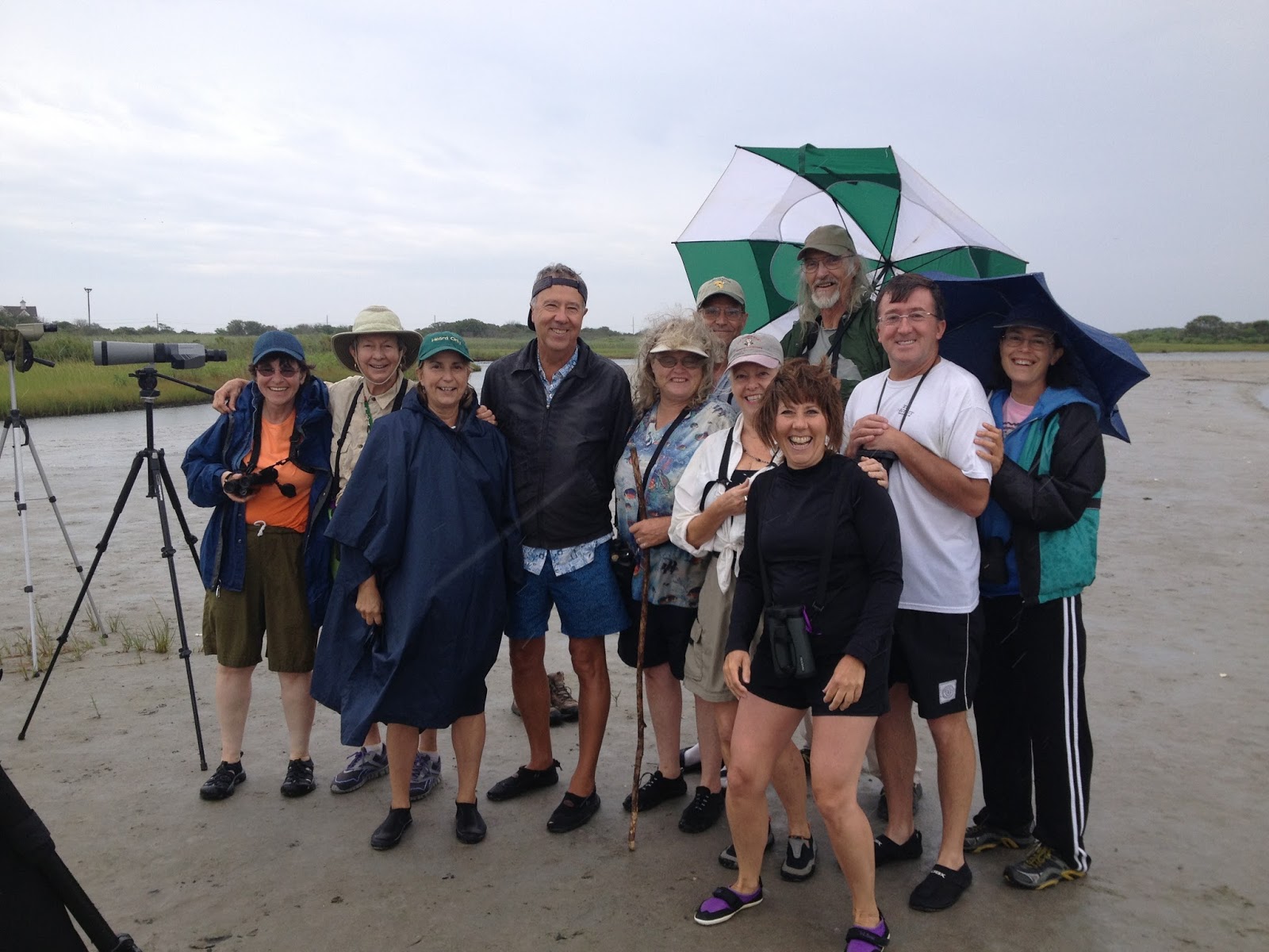 Birding Is Fun!: Rhode Island Birders