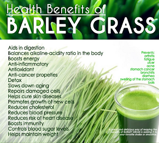 barley grass nutrients: WHY SANTE BARLEY?