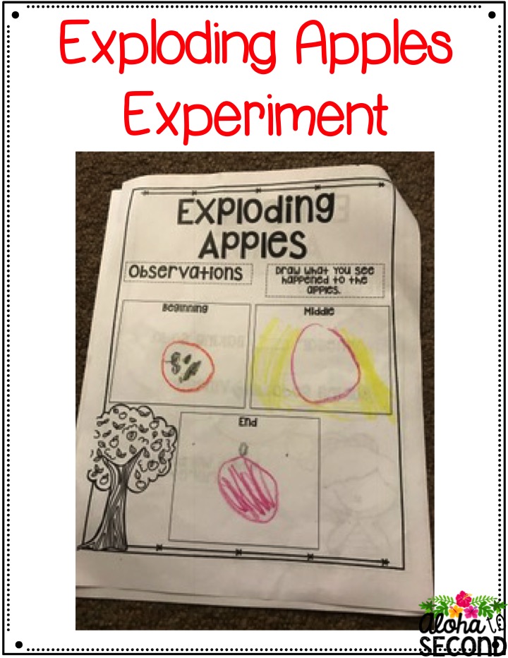 Aloha to Second: Exploding Apples Experiment