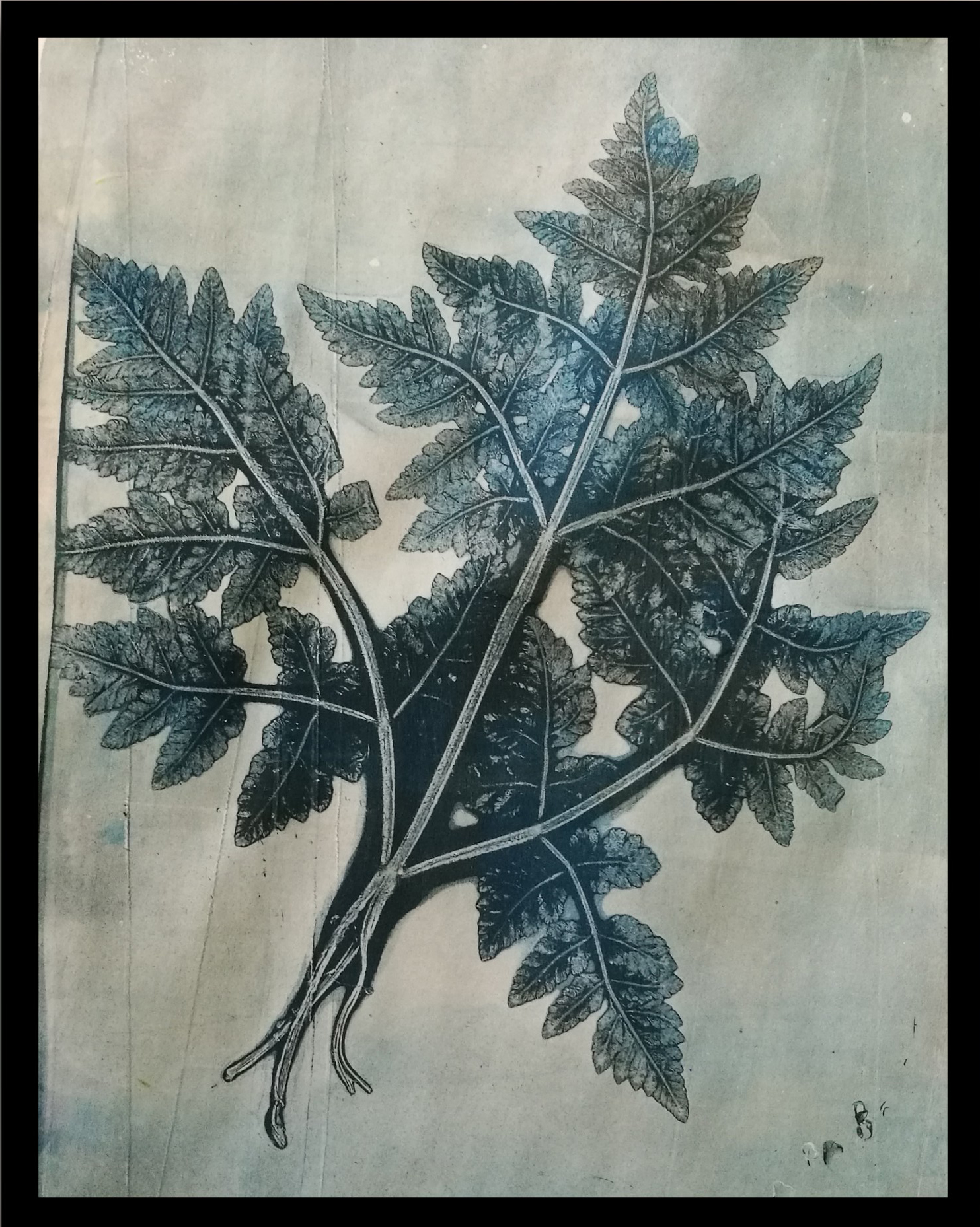 Plastyka: Monotypia na żelatynie