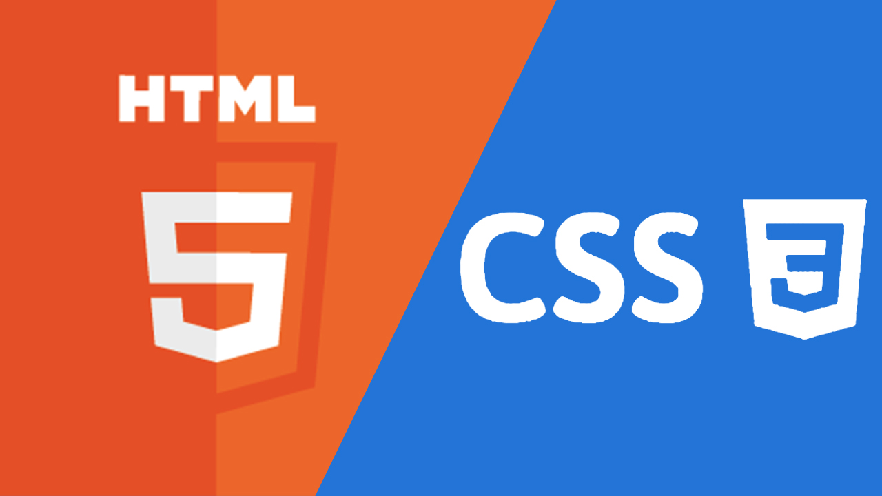 ما هي الأشياء التي يجب علي القيام بها لأصبح Web Developer