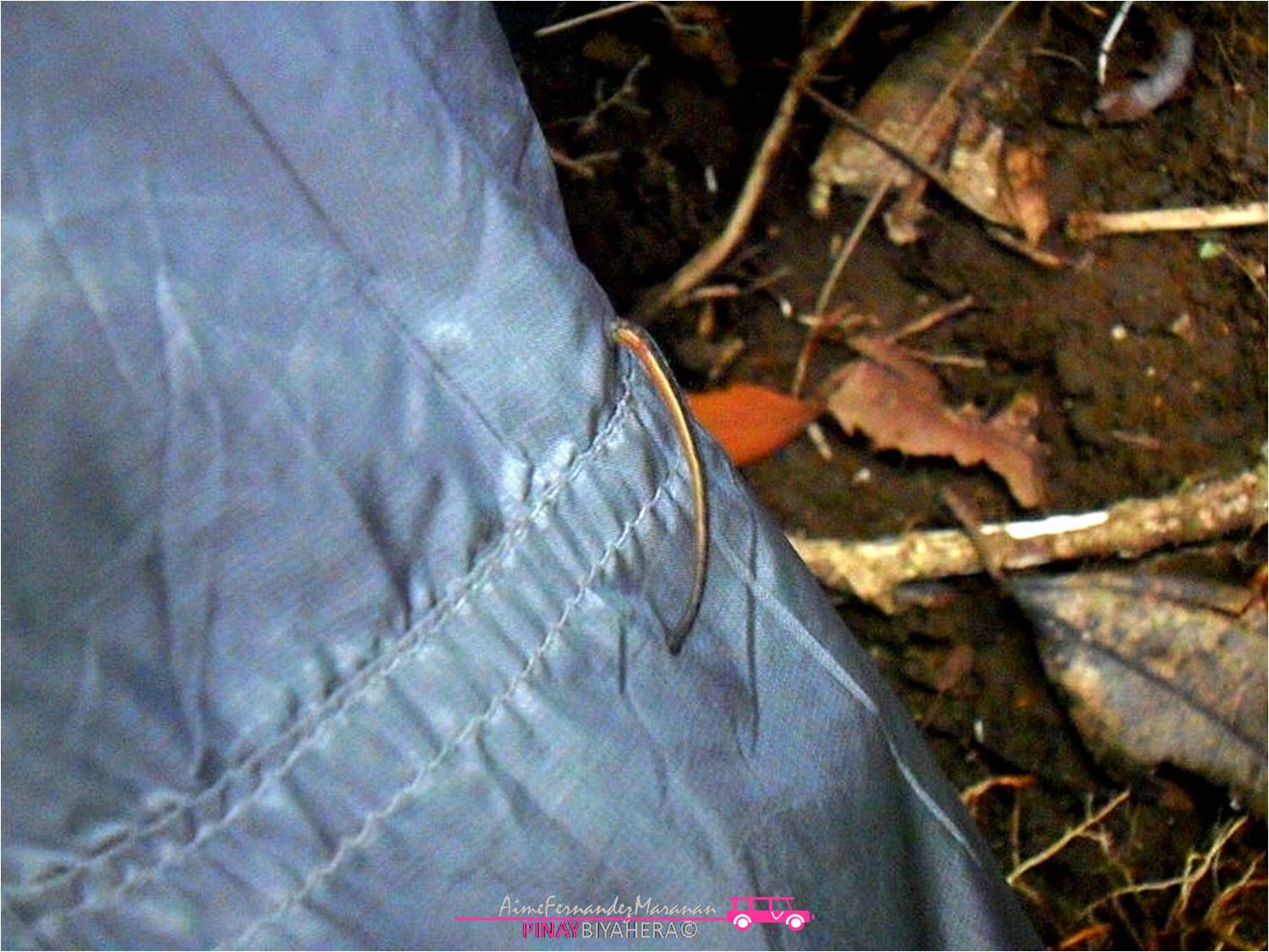 Pinay Biyahera: HikingBlahs#6: TIPS │ Limatic Prevention Tips