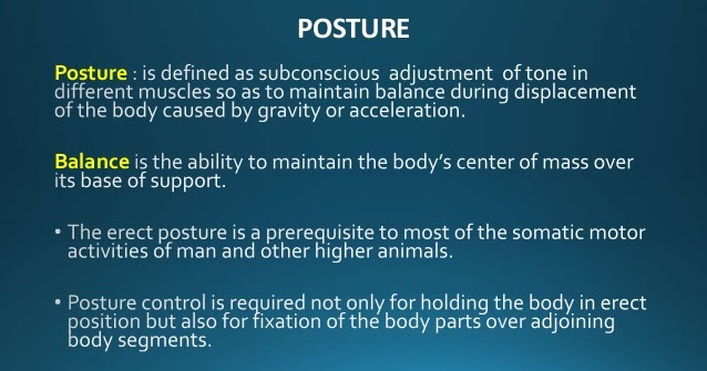EXAMS AND ME : Supporting Reflex