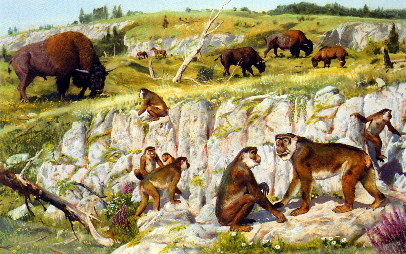 A group of early buffalo and monkeys by Zdeneck Burian. | Ancient ...