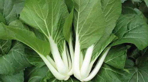 LIST: 200+ Philippine delicious dishes - LISTPH