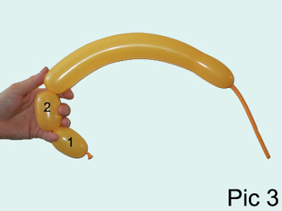 CLASSICAL: Balloon dog