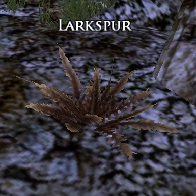 Myndariel's Middle Earth : Flowers of North Ithilien