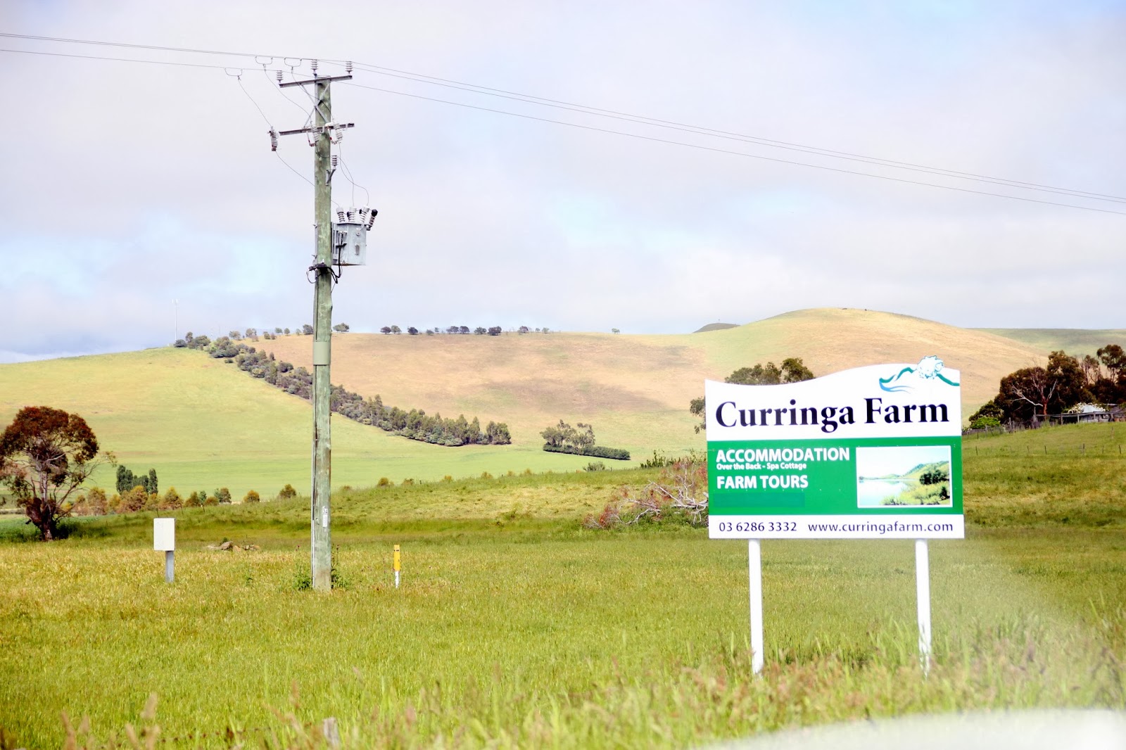 joanne的旅遊日誌: 01/12/2013 day4 curringa farm牧場體驗+bonorong wildlife park ...