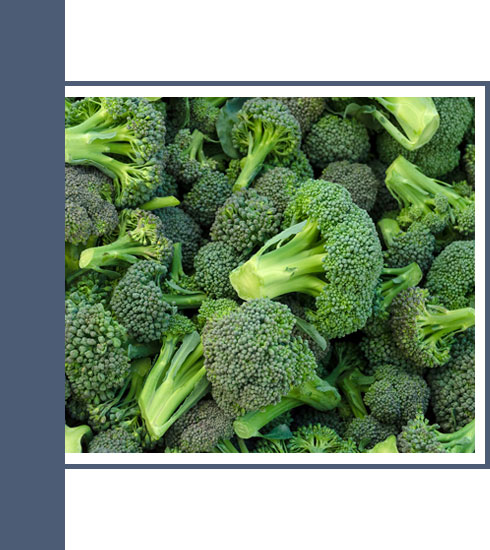 TEN FOODS TO KEEP COLDS AWAY THIS MONSOON