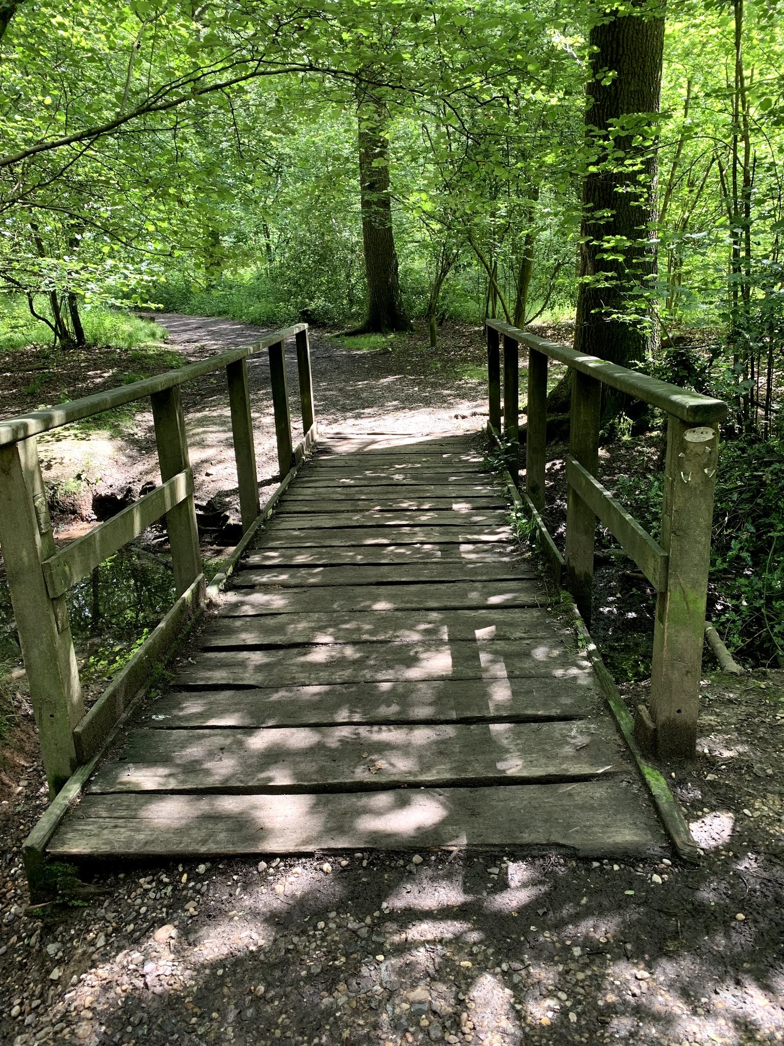 Wythall Walks - Circular Countryside Walk no.3 (again)