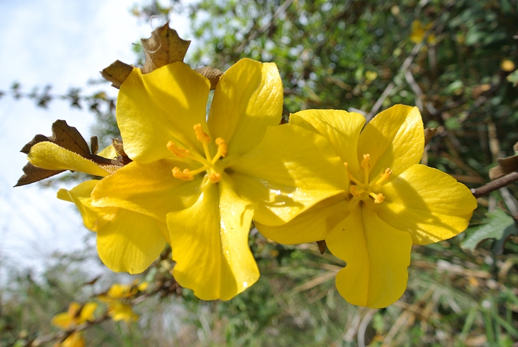 Smile! Spring is Here! :) — HAPPYHAZEL