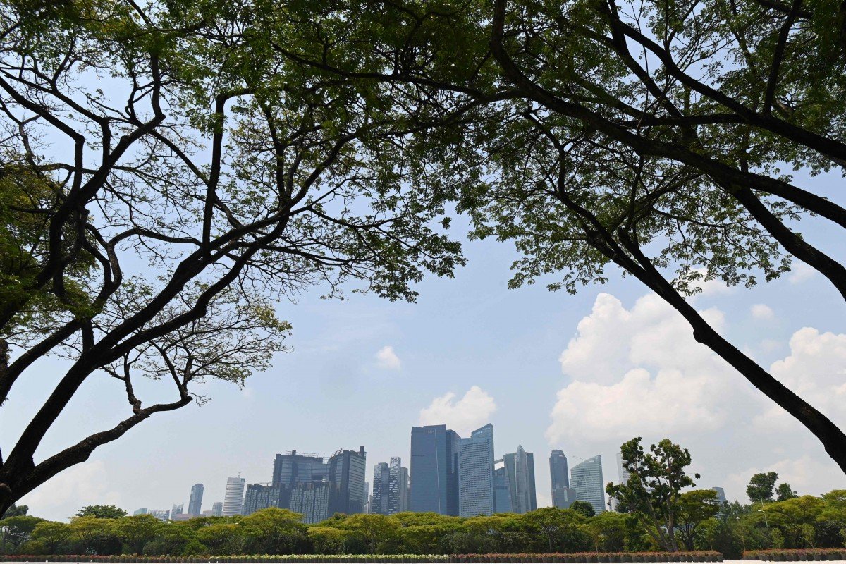 Under The Angsana Tree: Singapore and India CECA
