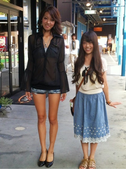 Junko Miwa 175cm Tall Woman Height Comparison