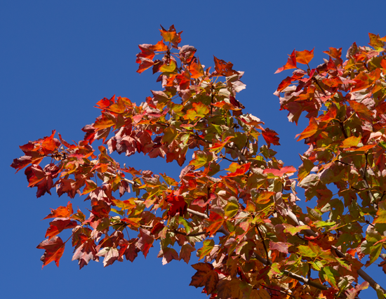 Indeksisijoittajan matkassa: Kuukausikatsaus: syyskuu 2021