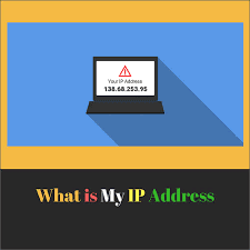 Where Did the Internet Come From? - My IP