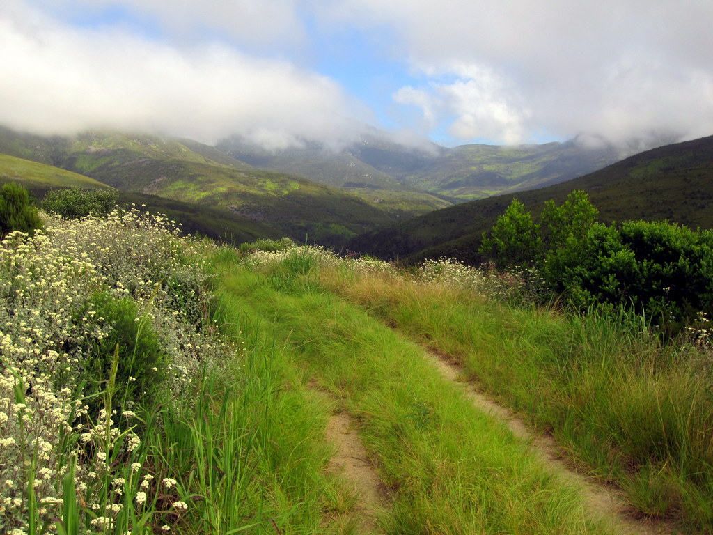 George Dam Trail Run